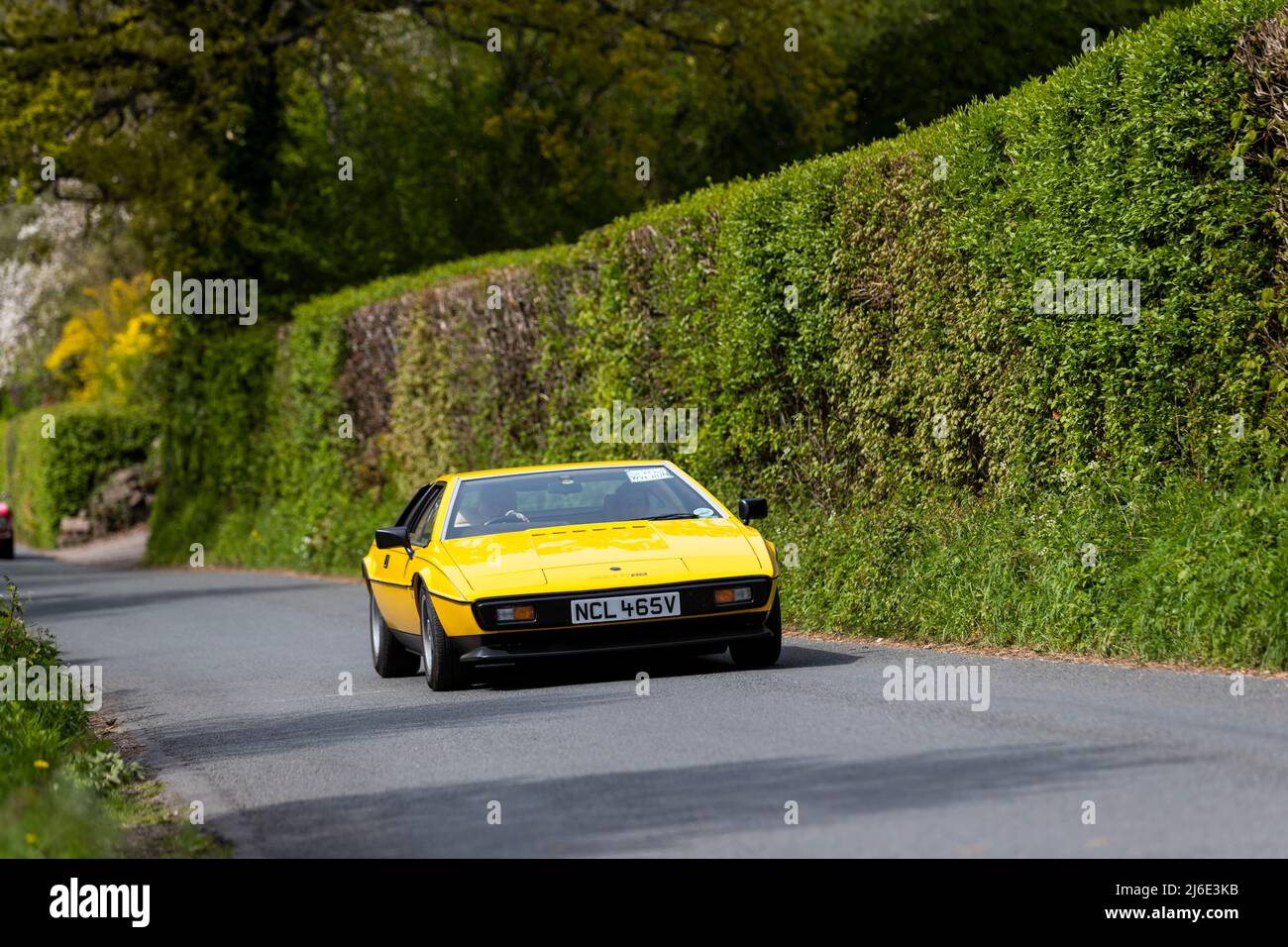 Various marques taking part in the classic cars springtime Rotary Club ...