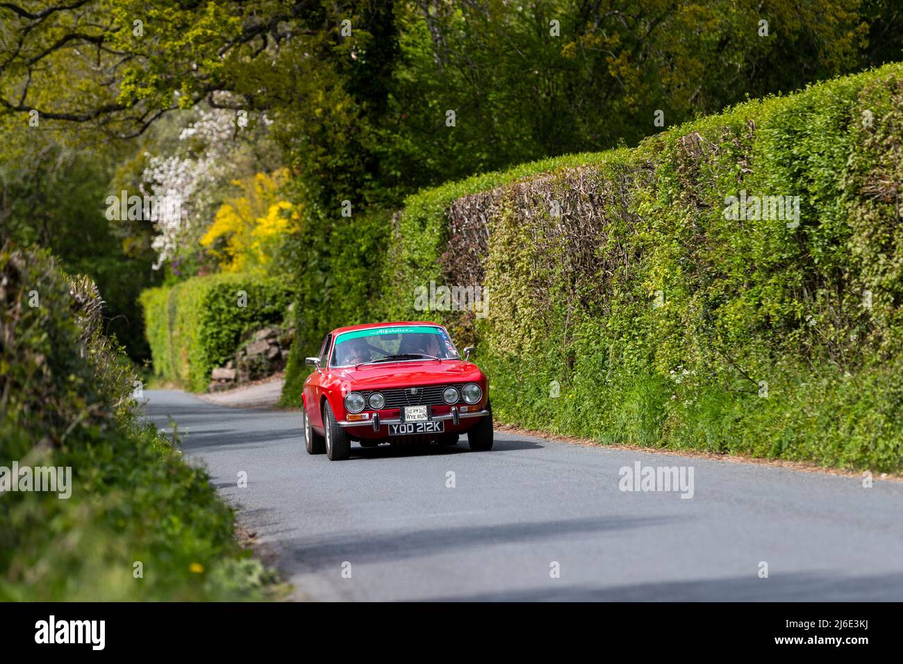 Various marques taking part in the classic cars springtime Rotary Club ...