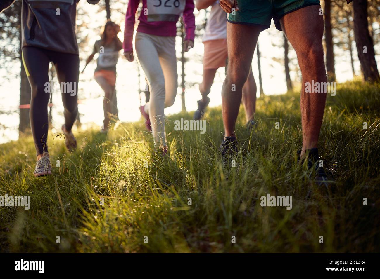Group of runners running fast through the forest on trail marathon run ...