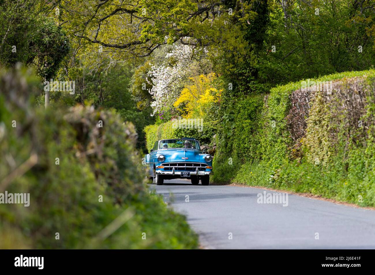 Various marques taking part in the classic cars springtime Rotary Club ...