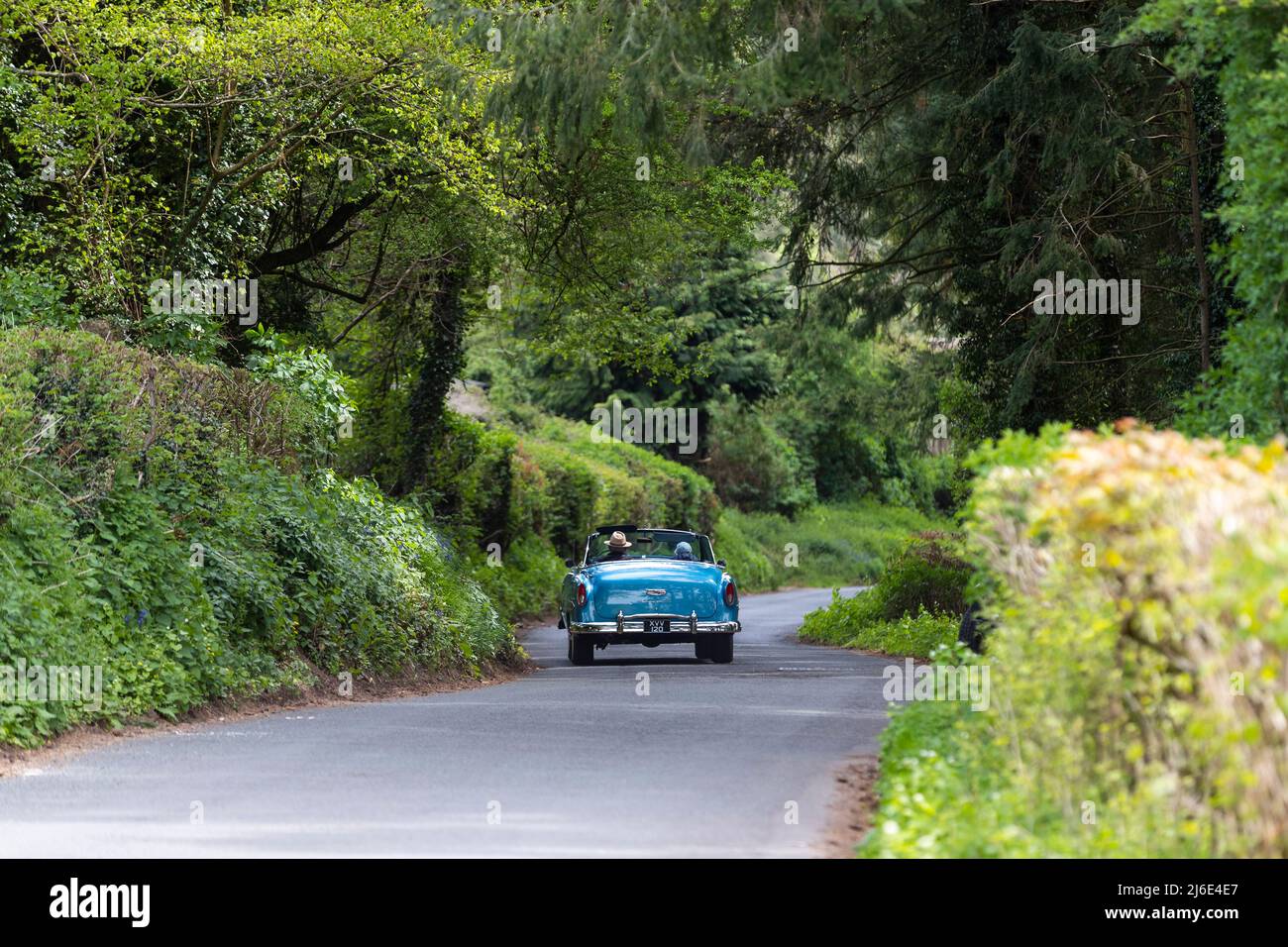 Various marques taking part in the classic cars springtime Rotary Club ...