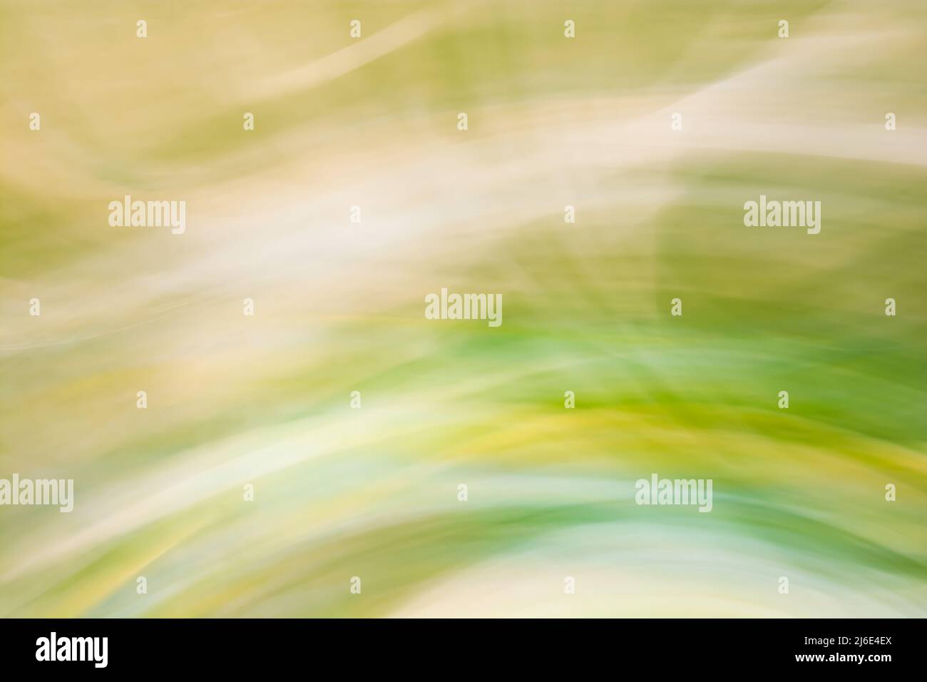 Green abstract waves with a slight blur and a gradient from light to ...