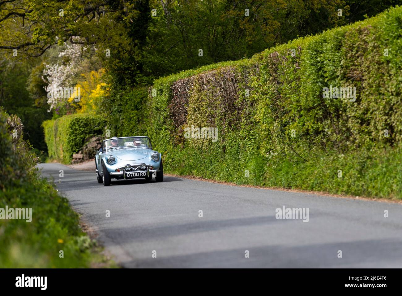 Daimler SP250 taking part in the classic cars springtime Rotary Club ...