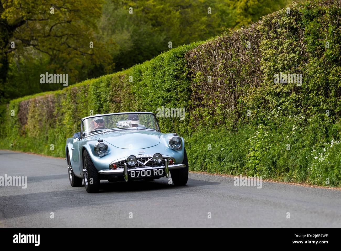 Daimler SP250 taking part in the classic cars springtime Rotary Club ...