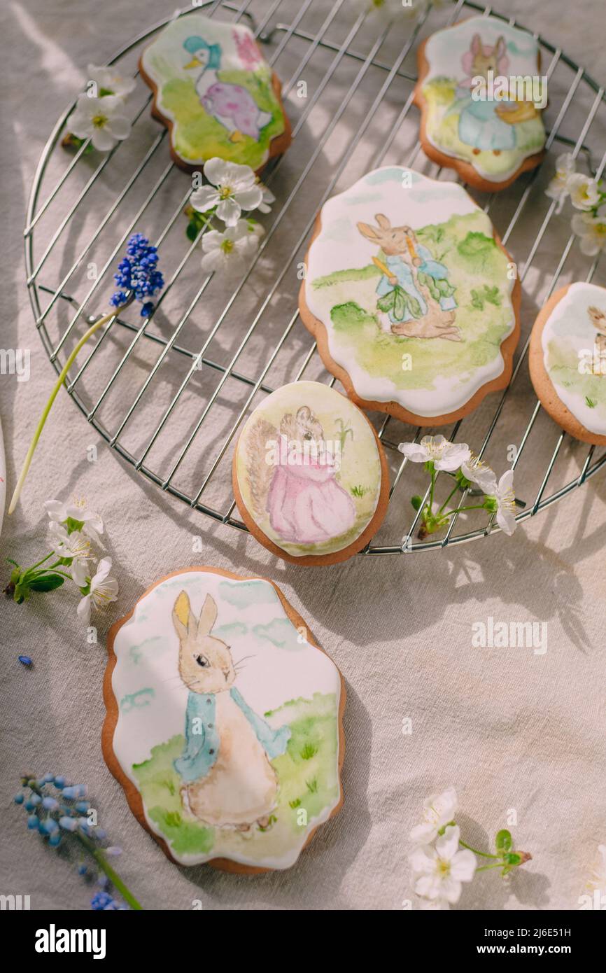 Ginger bunny hi-res stock photography and images - Alamy