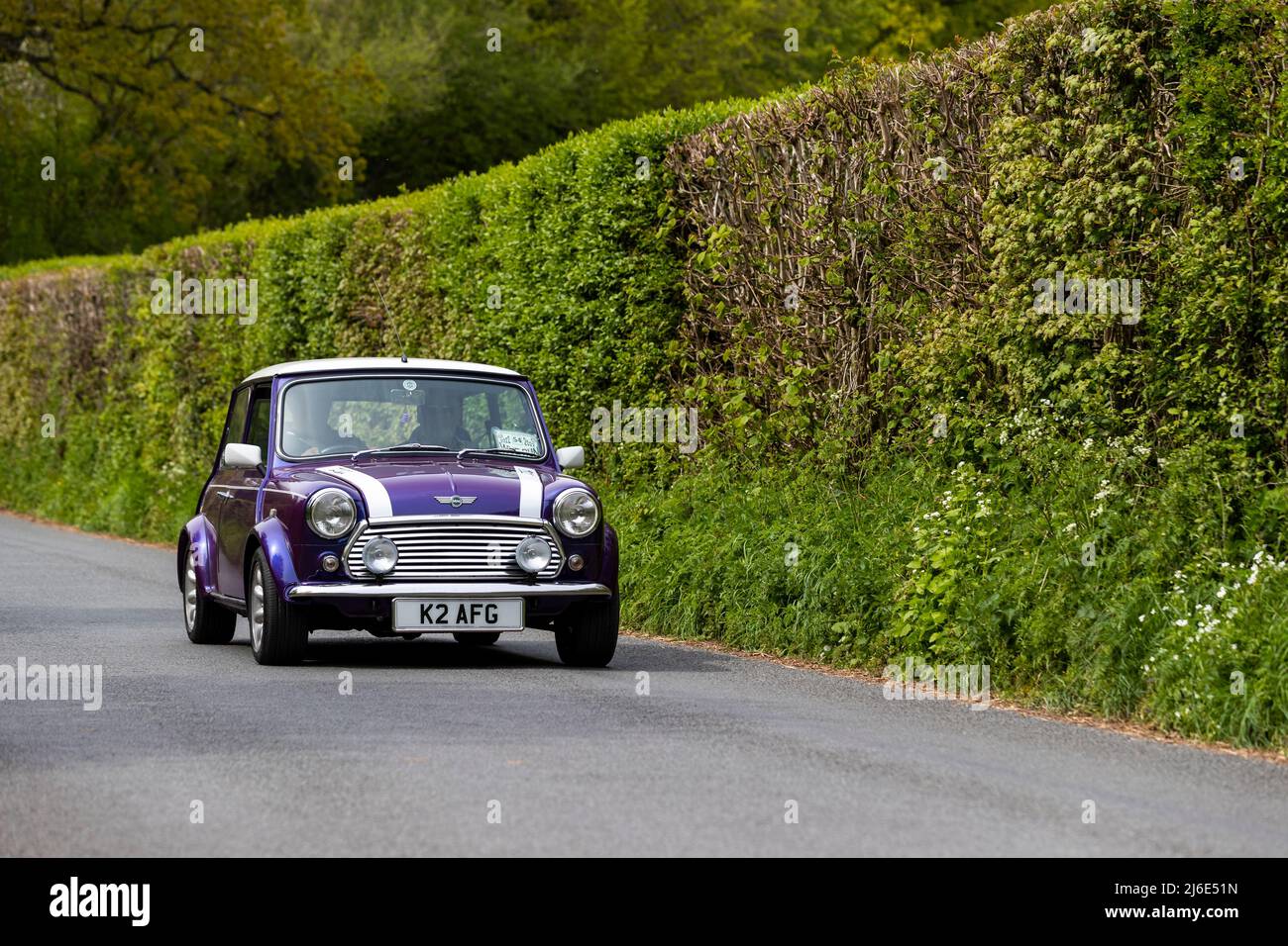 Purple Mini. Taking part in the classic cars springtime Rotary Club ...