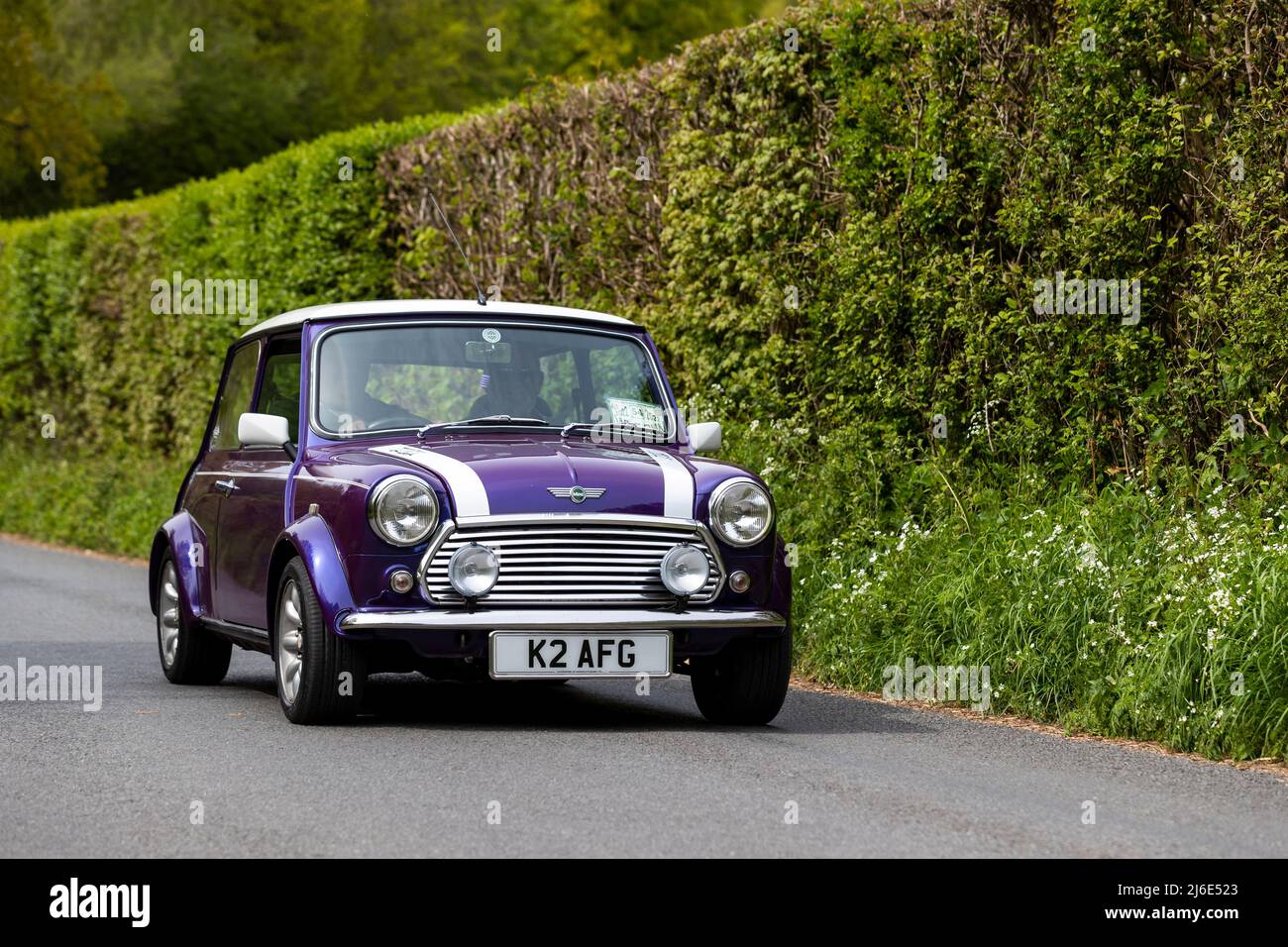 Purple Mini. Taking part in the classic cars springtime Rotary Club ...