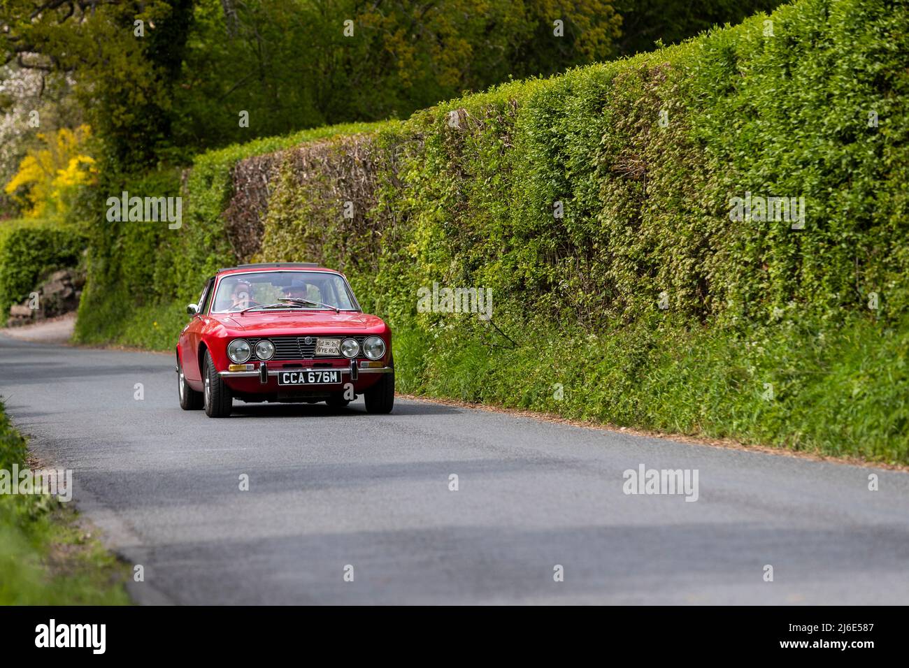 Alpha Romeo GTV. taking part in the classic cars springtime Rotary Club ...
