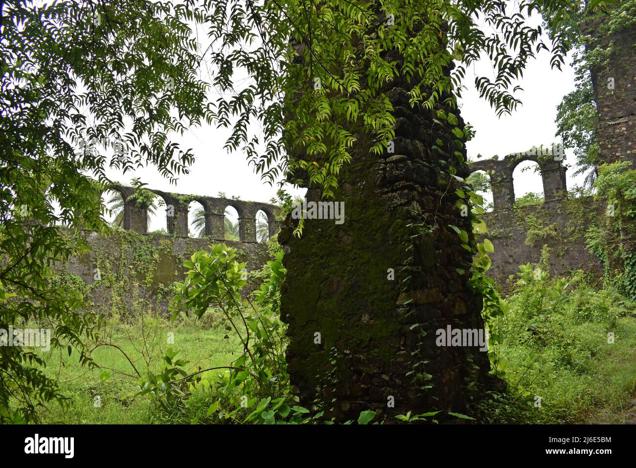 ruins of vasai fort, maharashtra, india Stock Photo - Alamy