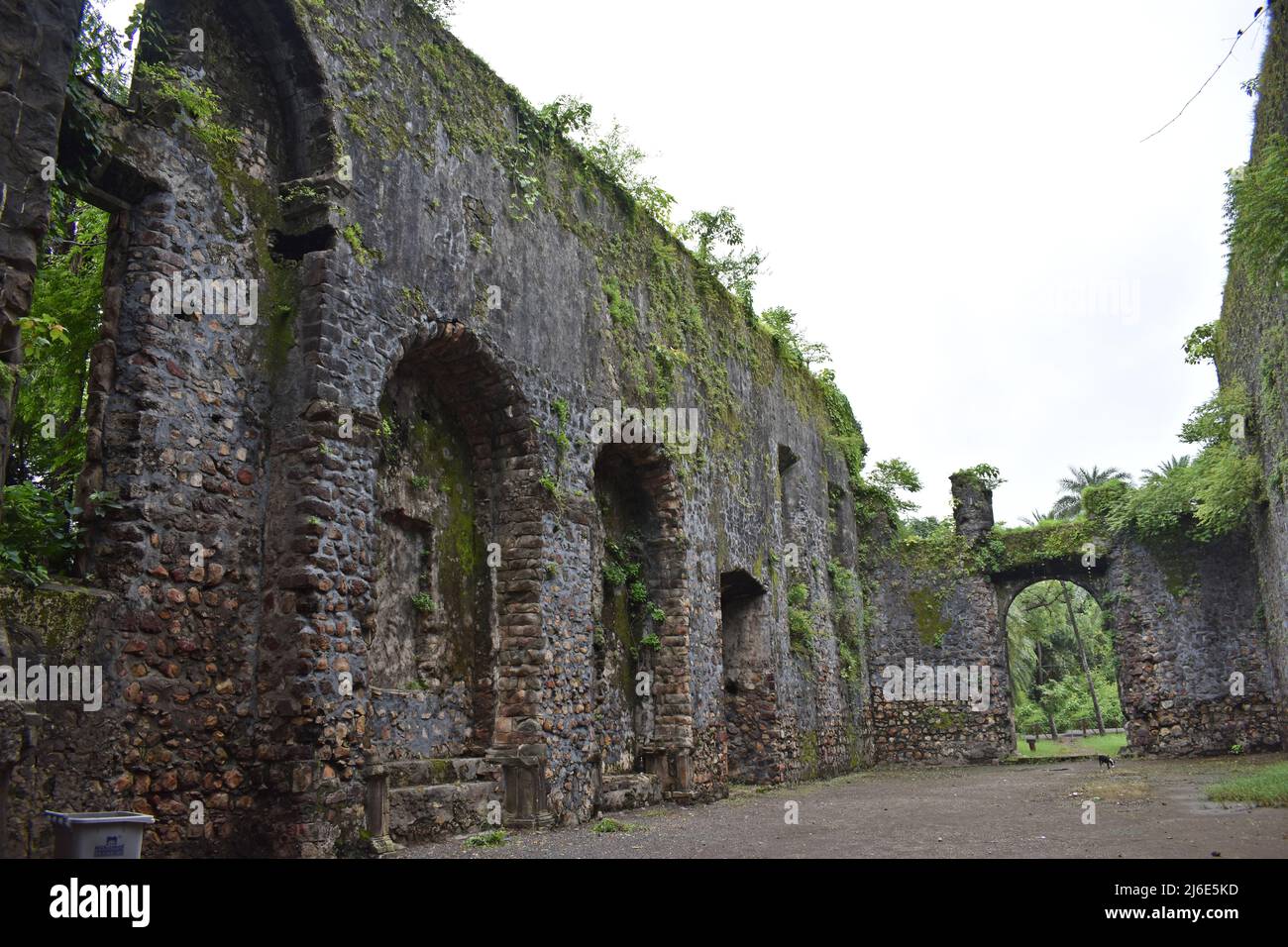 ruins of vasai fort, maharashtra, india Stock Photo - Alamy