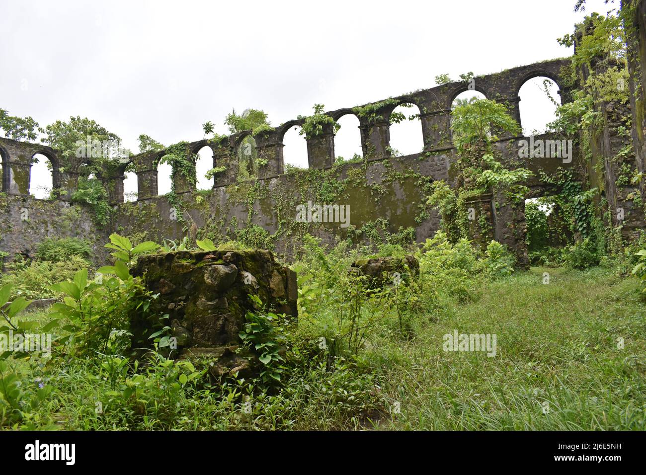 ruins of vasai fort, maharashtra, india Stock Photo - Alamy