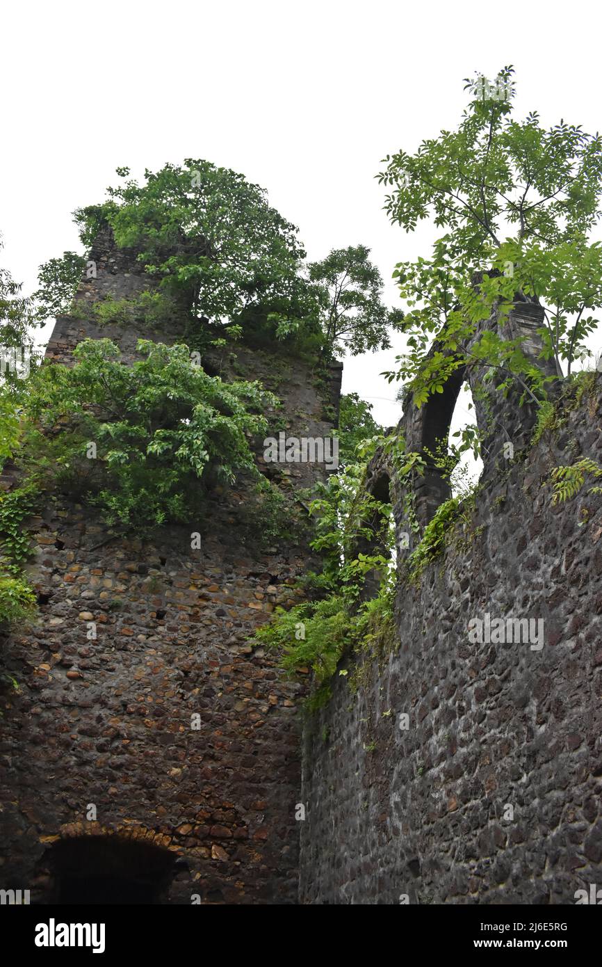 ruins of vasai fort, maharashtra, india Stock Photo - Alamy