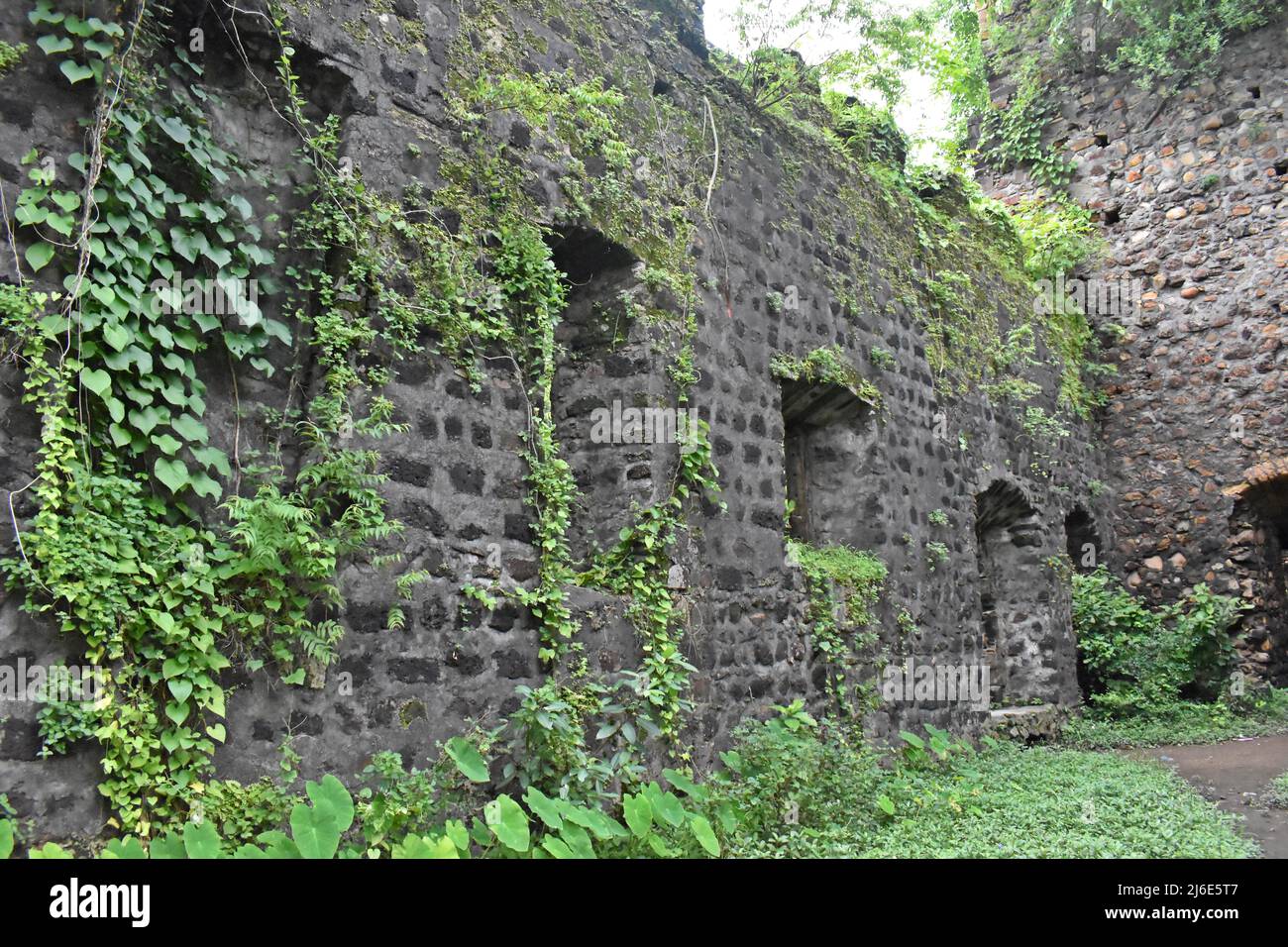 ruins of vasai fort, maharashtra, india Stock Photo - Alamy