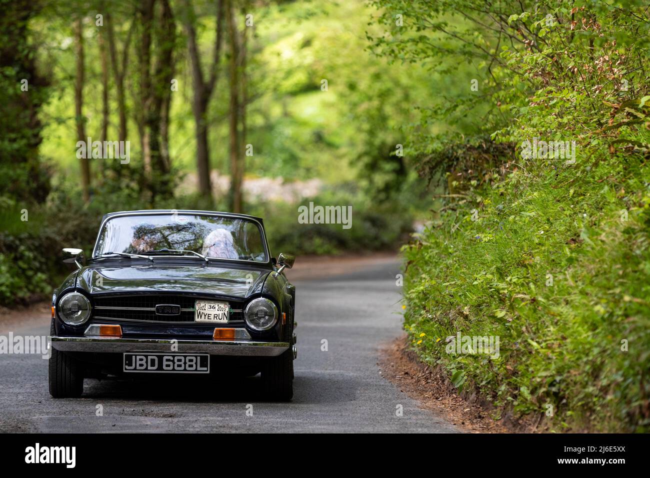 Triumph TR6 taking part in the classic cars springtime Rotary Club ...