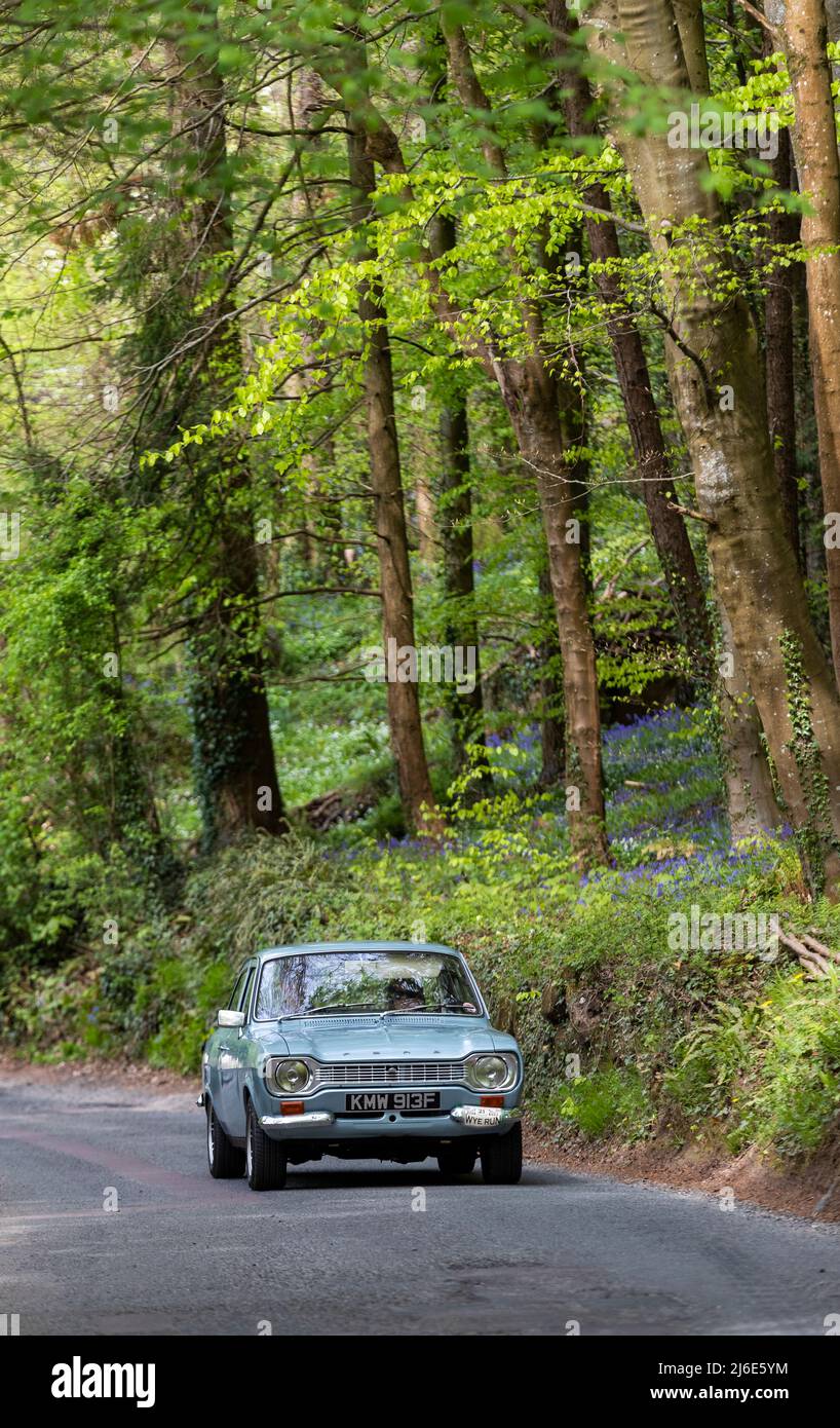 Ford Escort taking part in the classic cars springtime Rotary Club ...