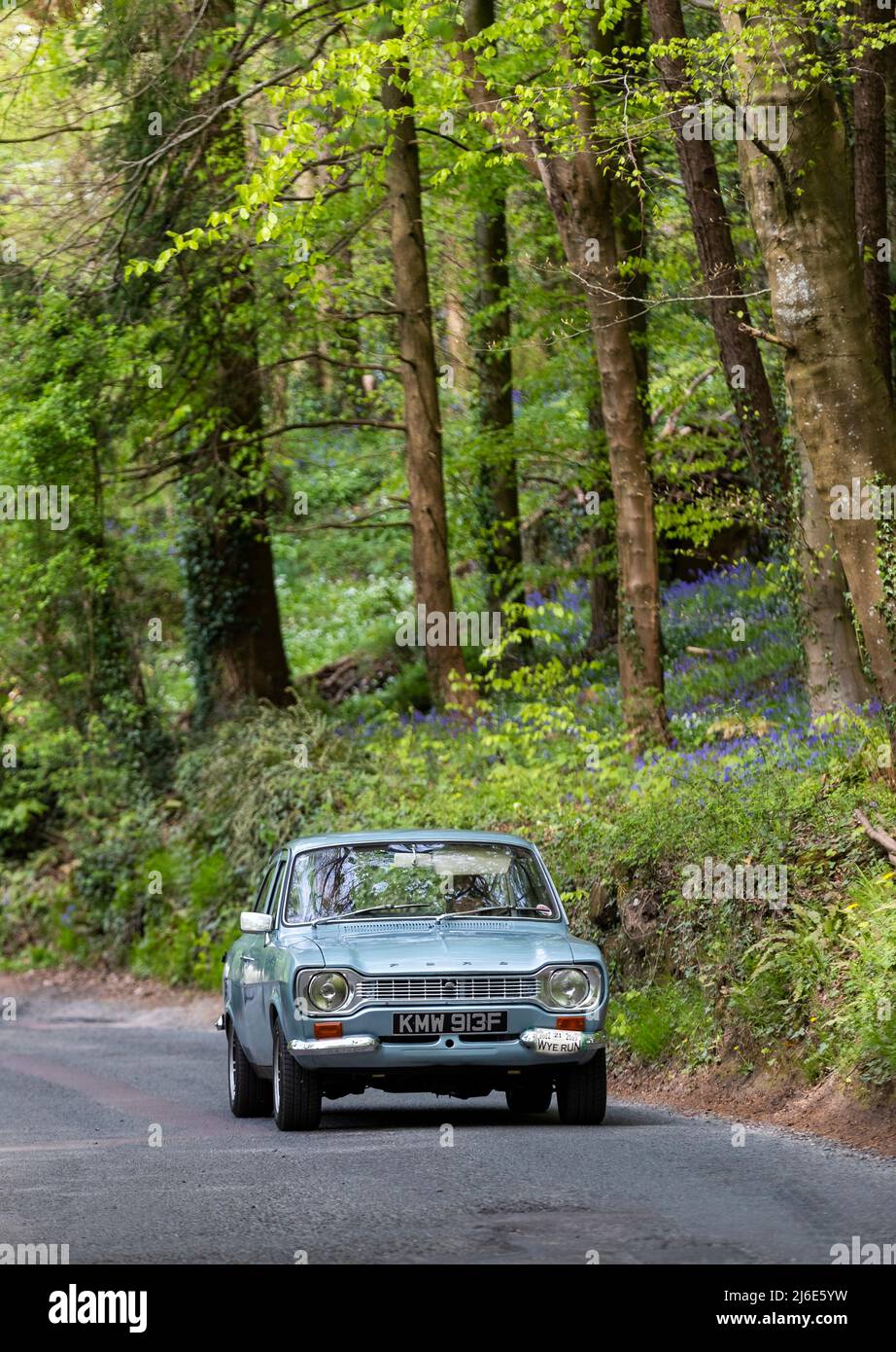 Ford Escort taking part in the classic cars springtime Rotary Club ...