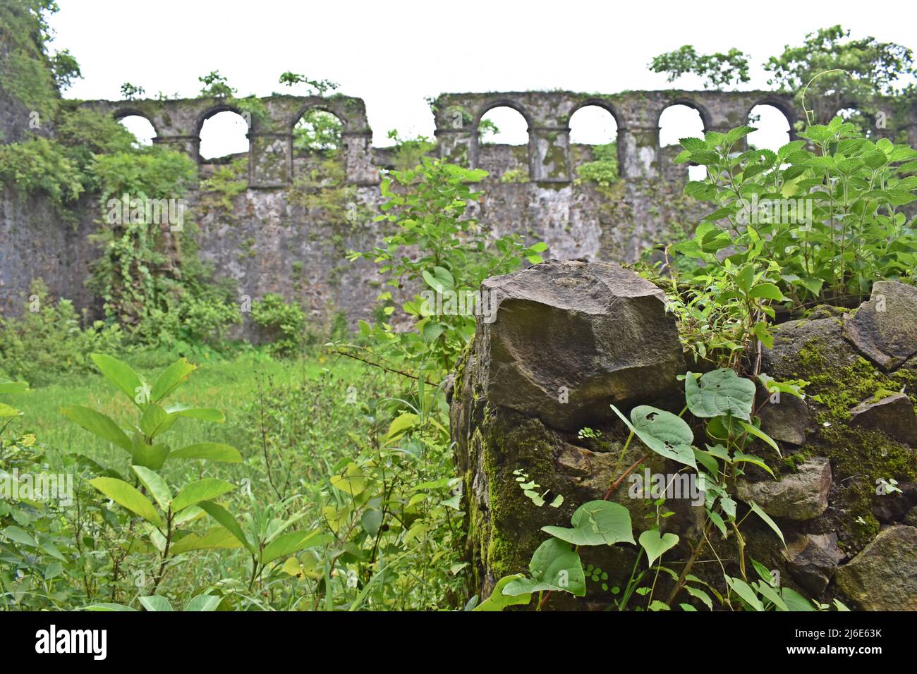 ruins of vasai fort, maharashtra, india Stock Photo - Alamy