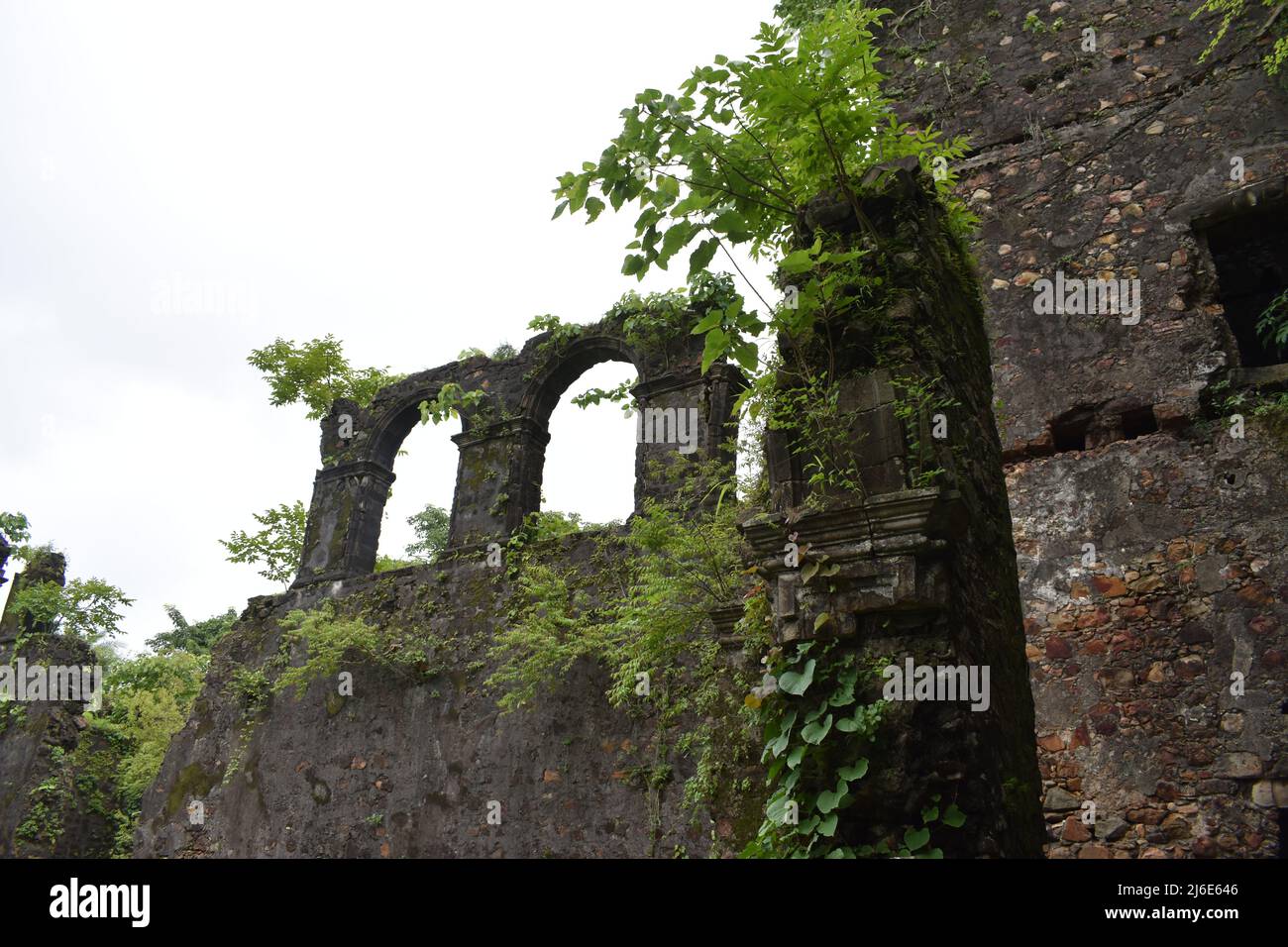ruins of vasai fort, maharashtra, india Stock Photo - Alamy