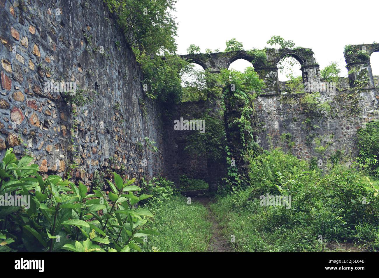 ruins of vasai fort, maharashtra, india Stock Photo - Alamy