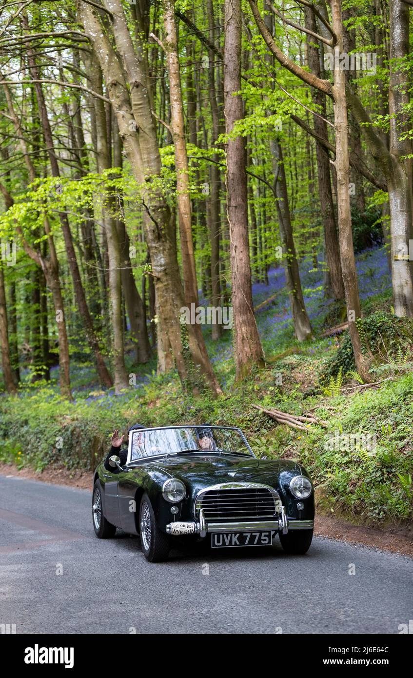 1954, Swallow Doretti taking part in the classic cars springtime Rotary ...