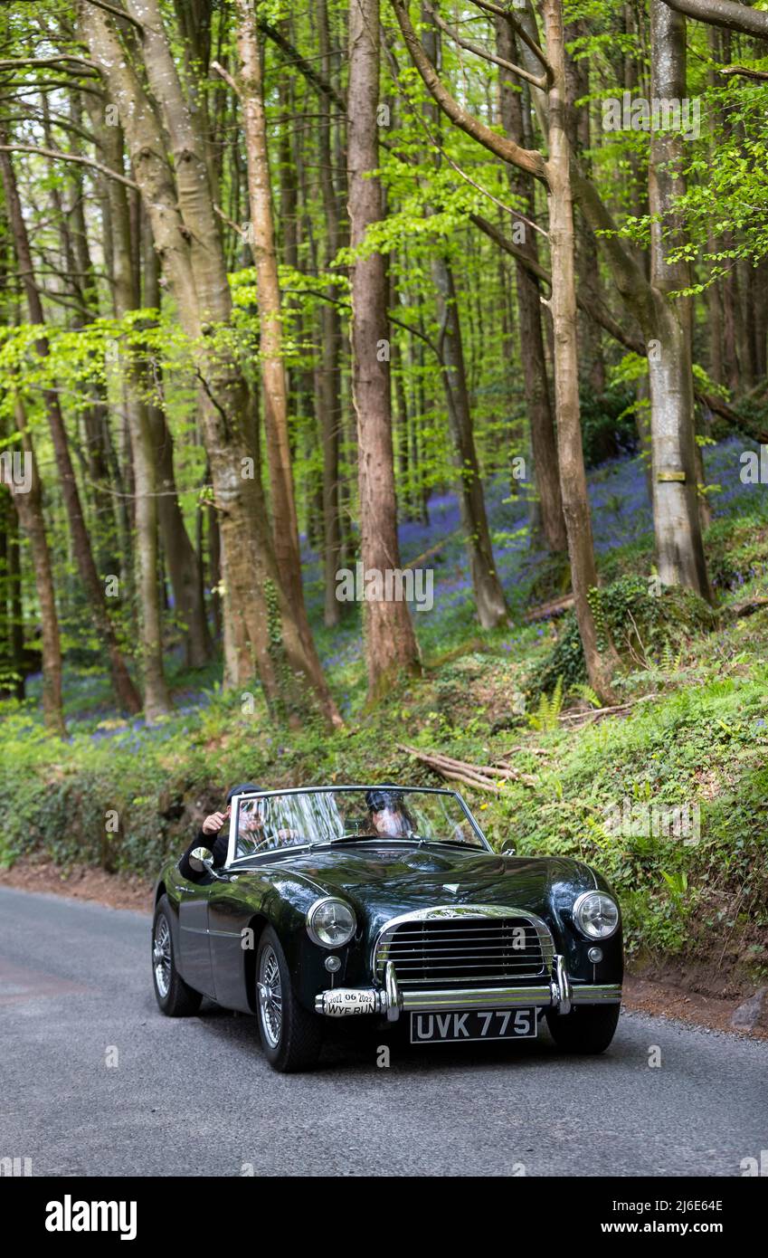 1954, Swallow Doretti taking part in the classic cars springtime Rotary ...