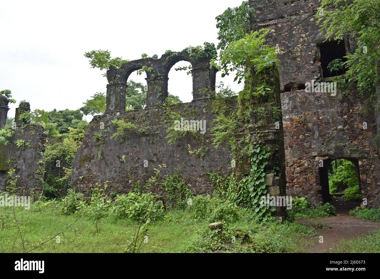 ruins of vasai fort, maharashtra, india Stock Photo - Alamy