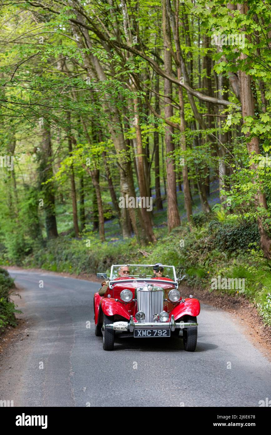 MG T Series taking part in the classic cars springtime Rotary Club ...