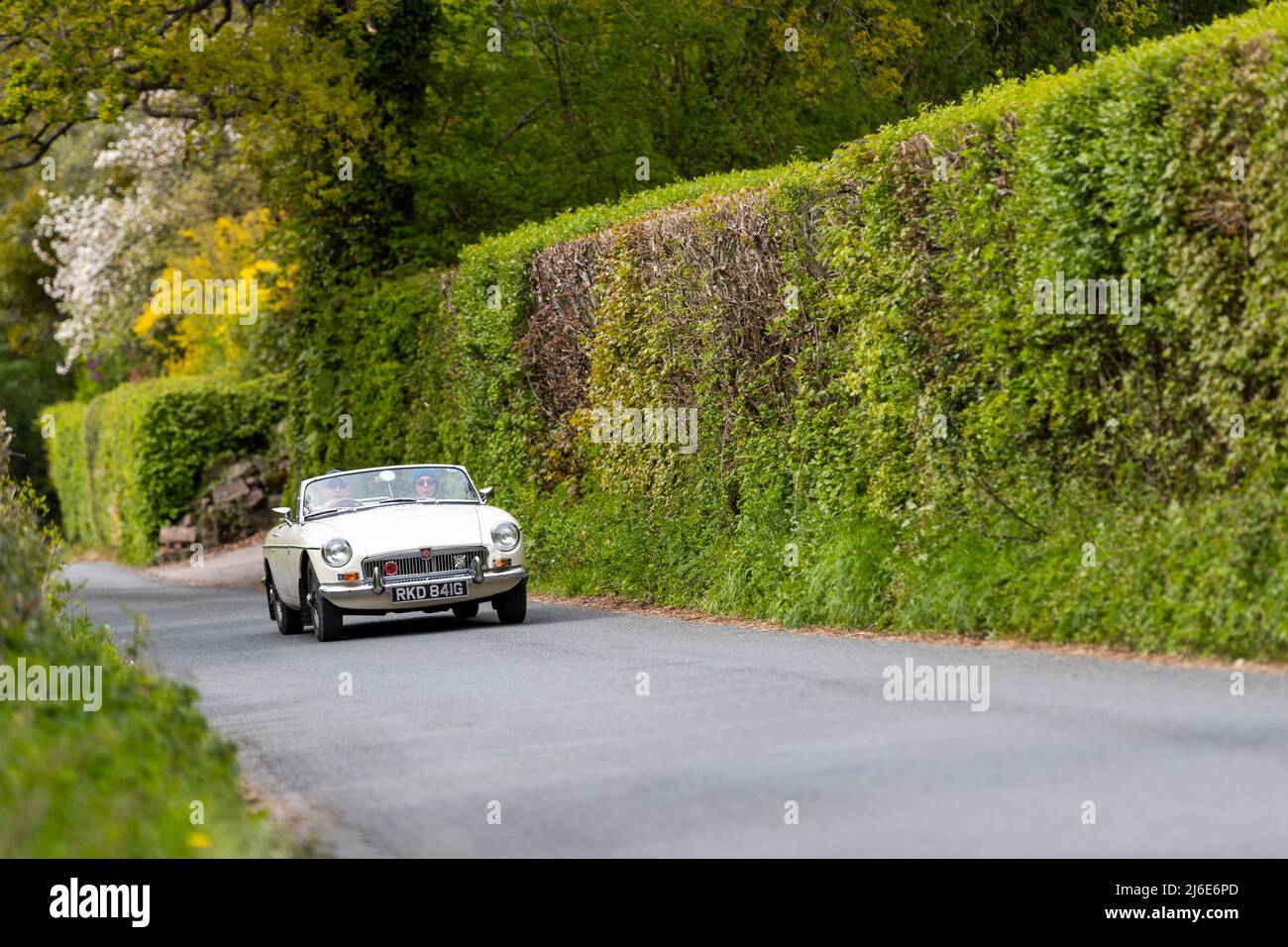 Various marques taking part in the classic cars springtime Rotary Club ...