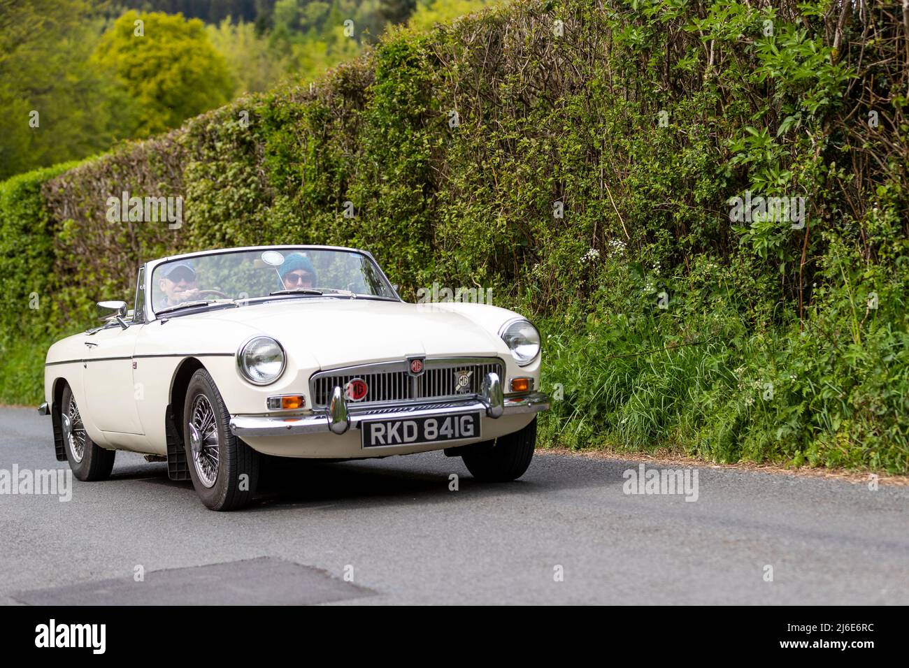 Various marques taking part in the classic cars springtime Rotary Club ...