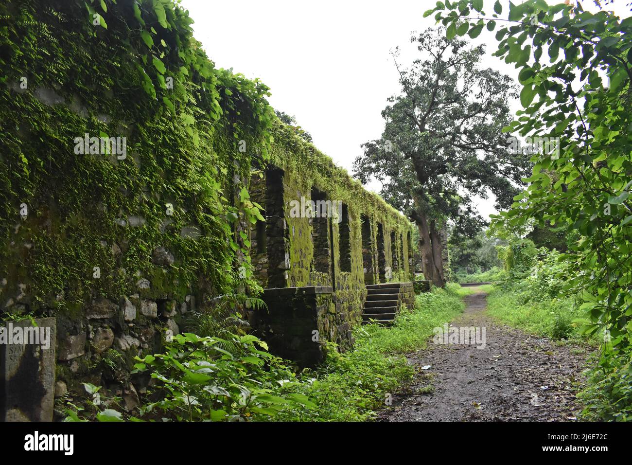 ruins of vasai fort, maharashtra, india Stock Photo - Alamy