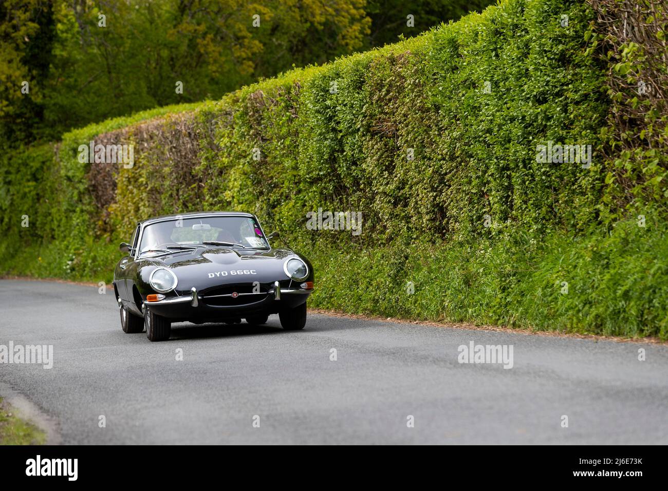 Series 1 E Type Jaguar taking part in the classic cars springtime ...