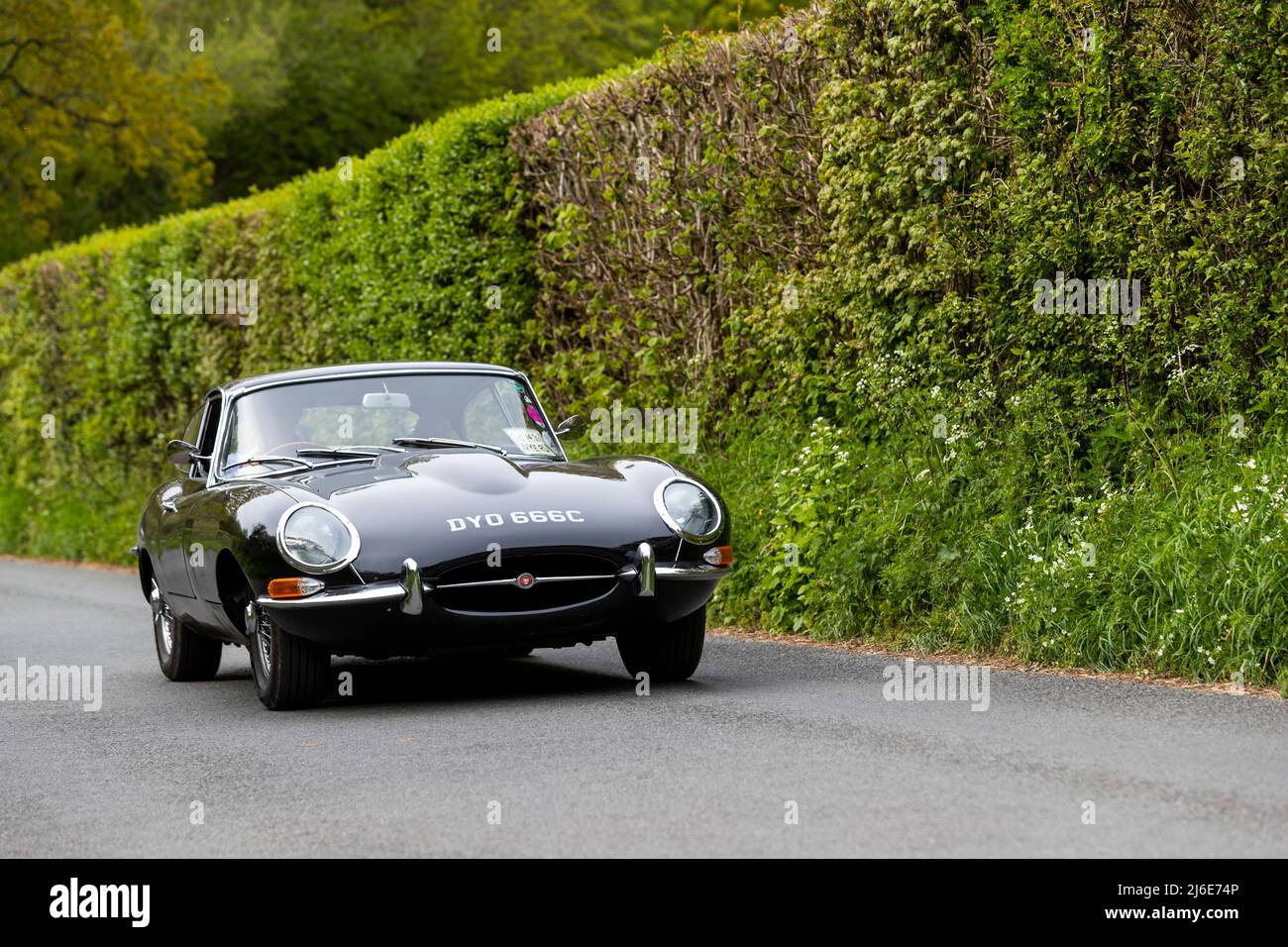 Series 1 E Type Jaguar taking part in the classic cars springtime ...
