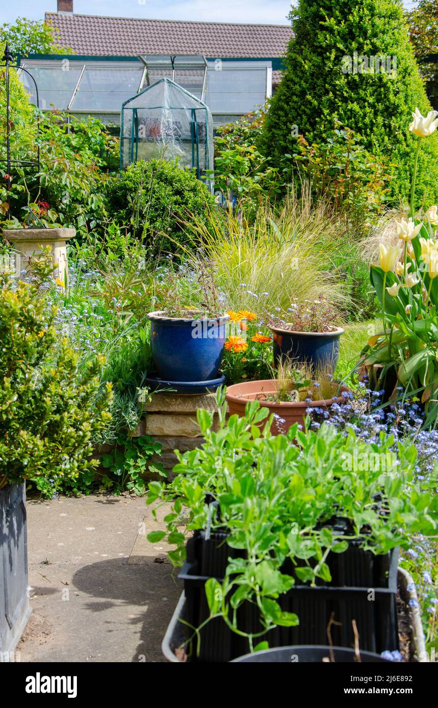 Ceramic planters hi-res stock photography and images - Alamy
