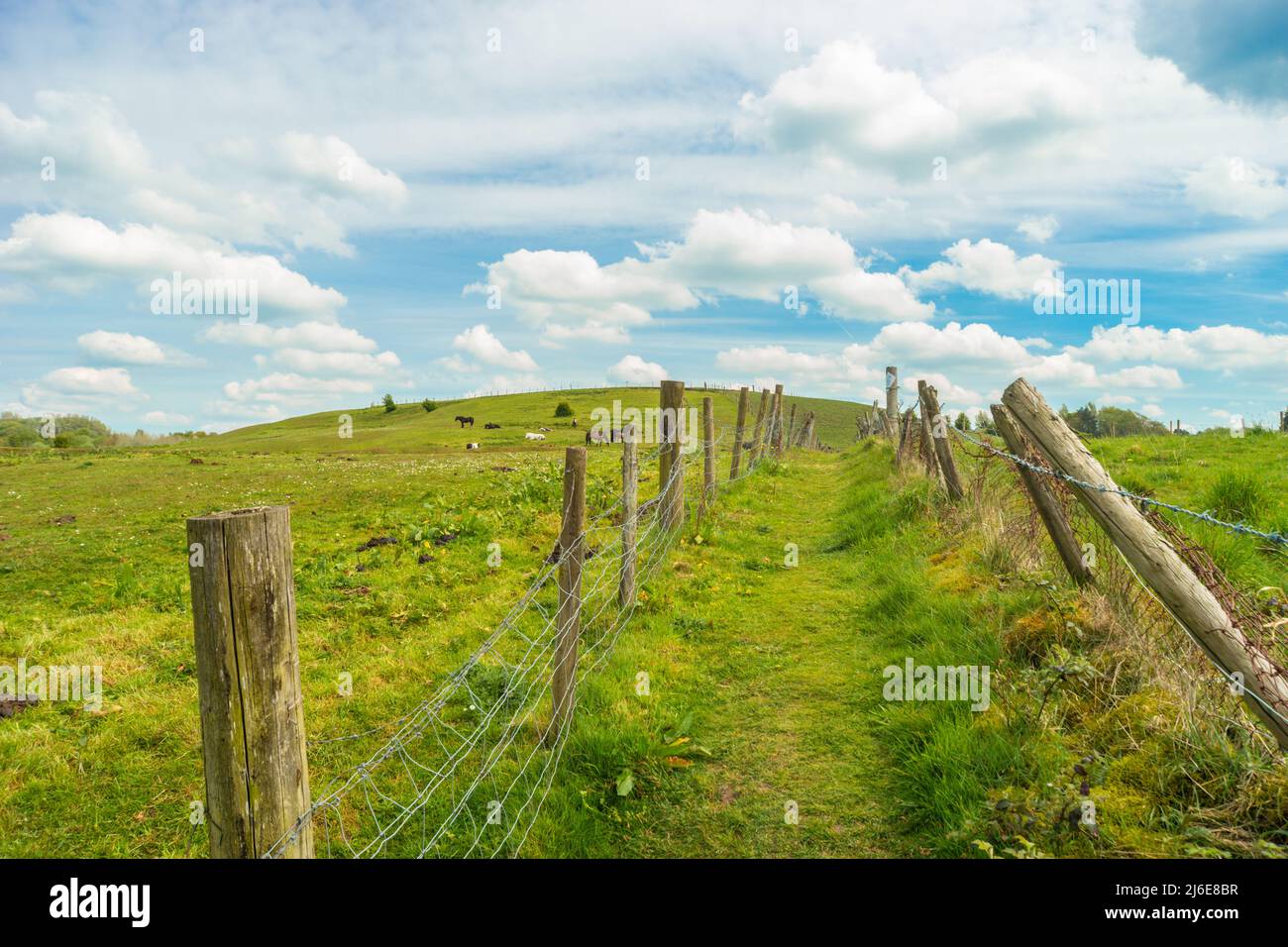 Foothill hi-res stock photography and images - Alamy