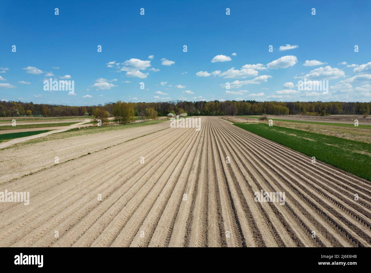 European farmland in spring sunshine Stock Photo - Alamy