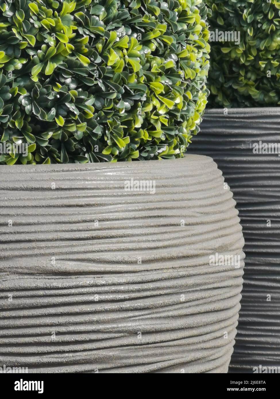 Large planters concrete hi-res stock photography and images - Alamy