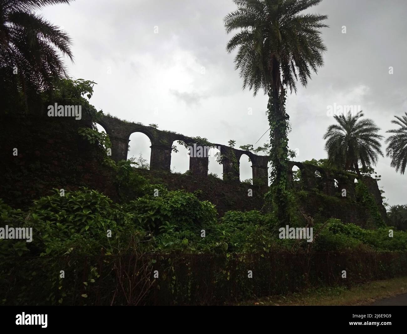 ruins of vasai fort, maharashtra, india Stock Photo - Alamy