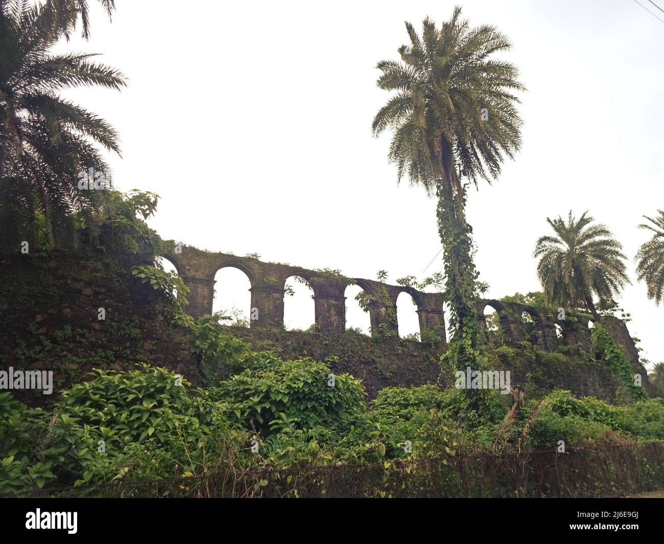 ruins of vasai fort, maharashtra, india Stock Photo - Alamy