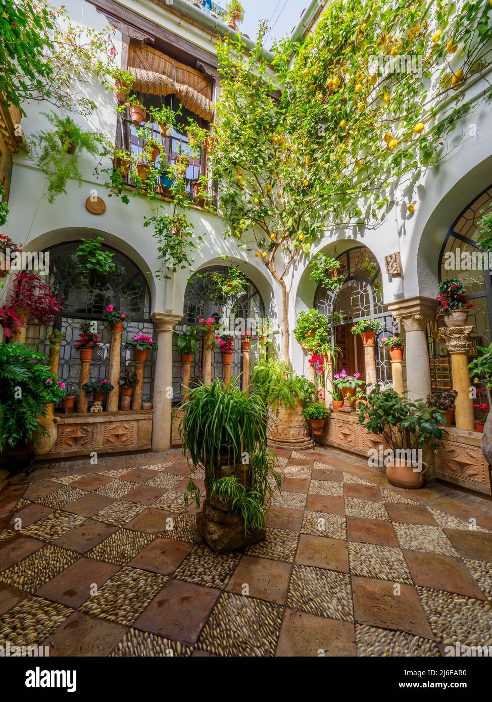 Traditional Andalusian courtyard full of plants and flowers in the old ...