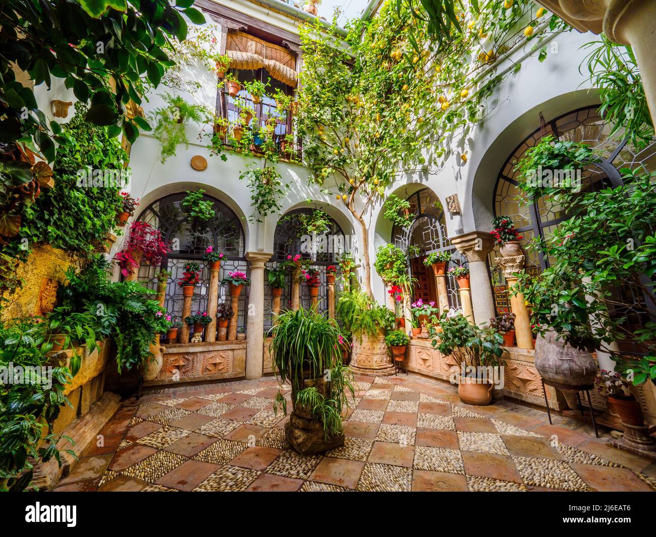 Traditional Andalusian courtyard full of plants and flowers in the old ...