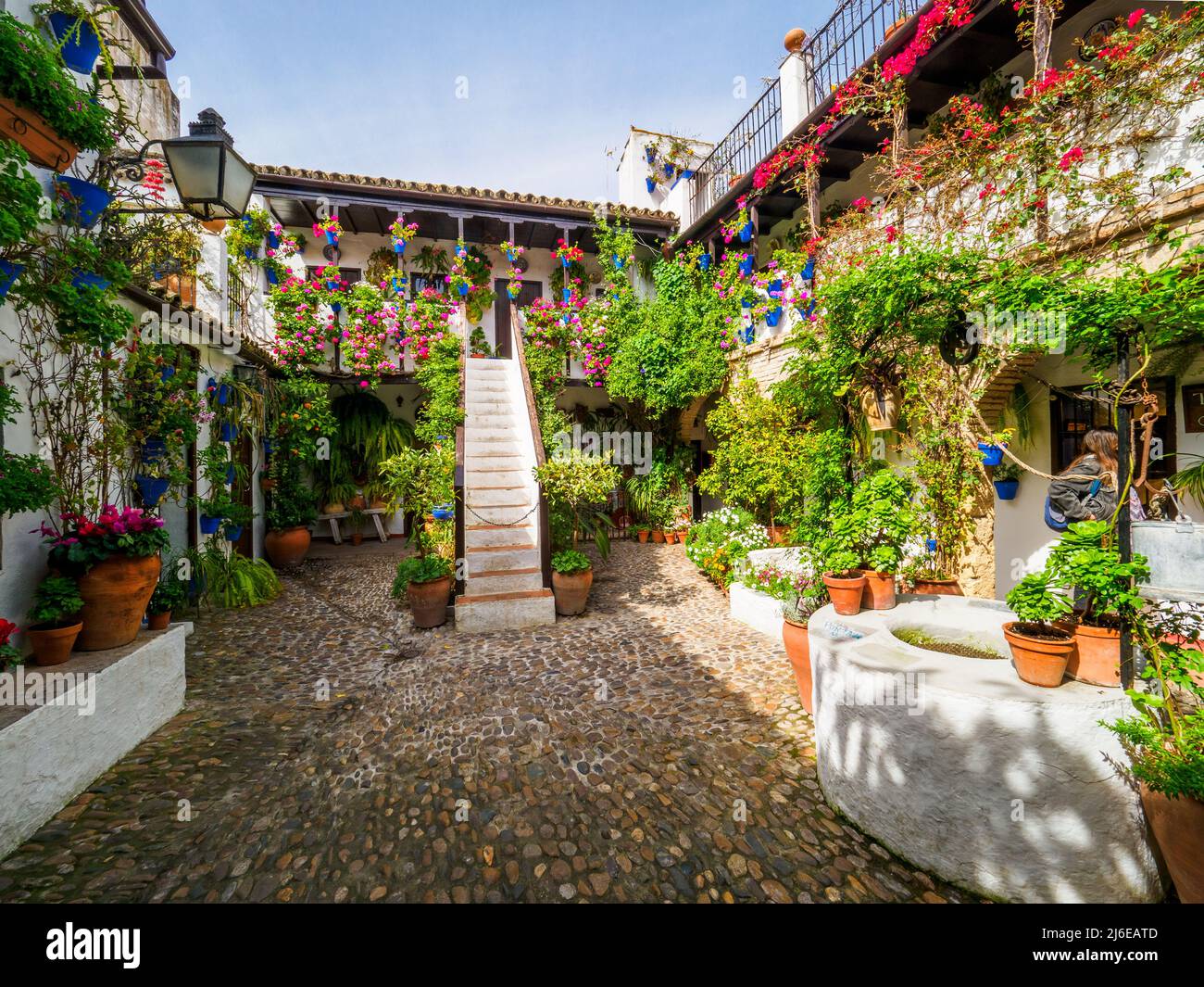 Traditional Andalusian courtyard full of plants and flowers in the old ...