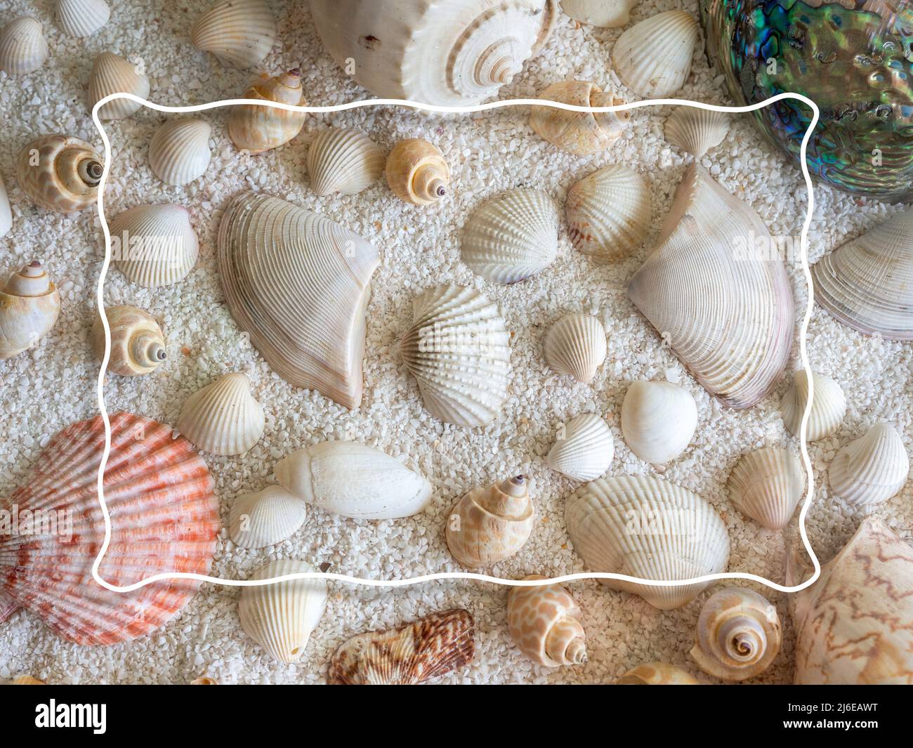 A minimalist white roughten line makes a decorative square border frame ...