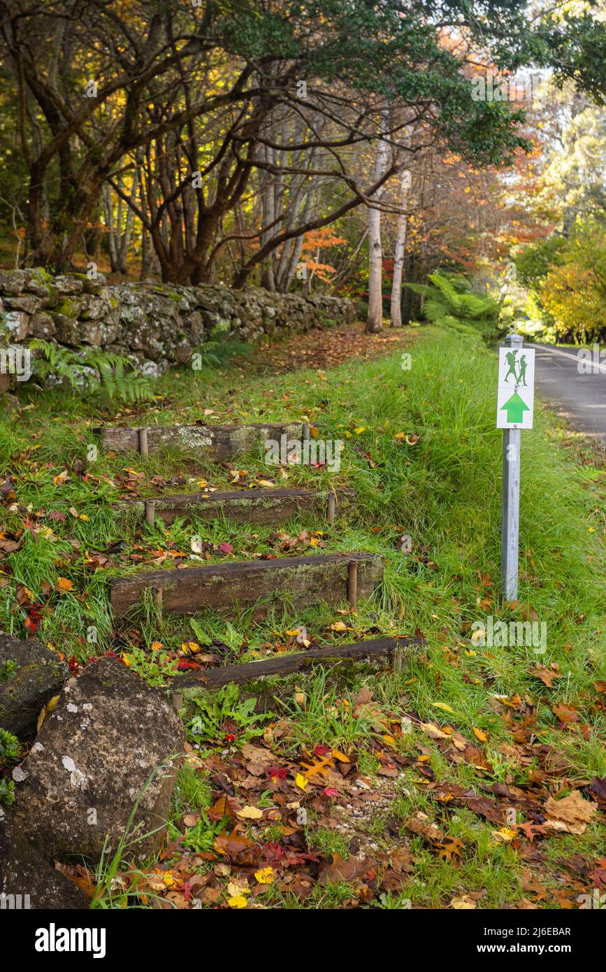 Spectacular water droplets on flowers and leaves Stock Photo - Alamy