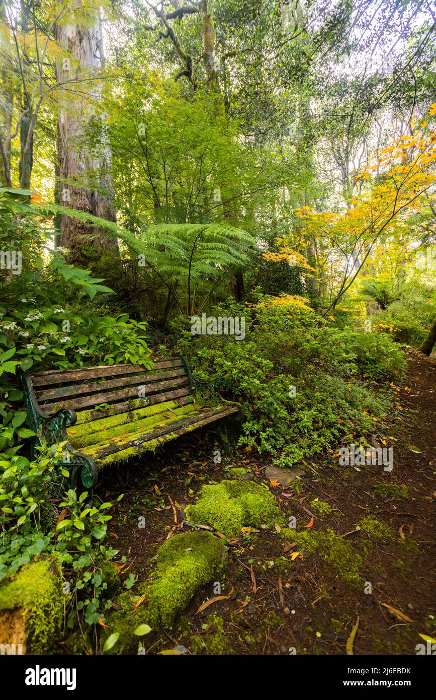 Spectacular water droplets on flowers and leaves Stock Photo - Alamy
