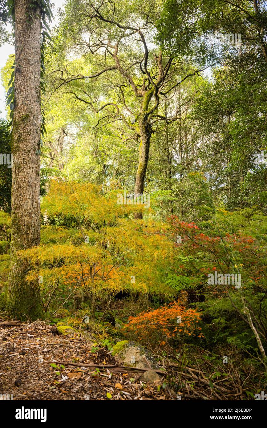 Spectacular water droplets on flowers and leaves Stock Photo - Alamy