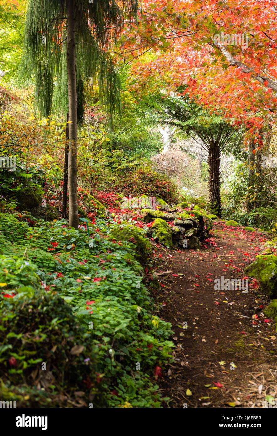Spectacular water droplets on flowers and leaves Stock Photo - Alamy