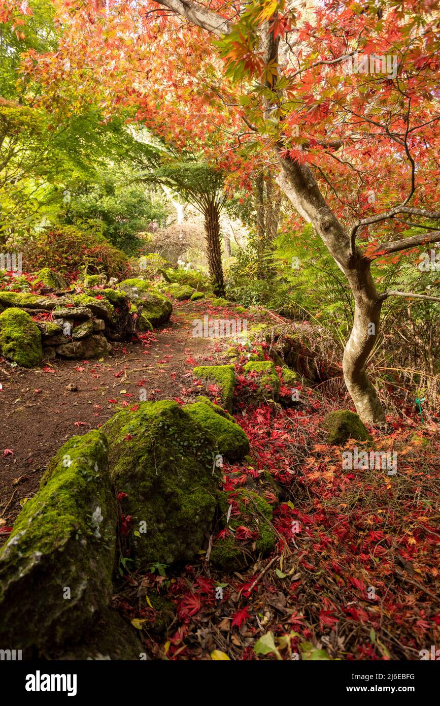 Spectacular water droplets on flowers and leaves Stock Photo - Alamy