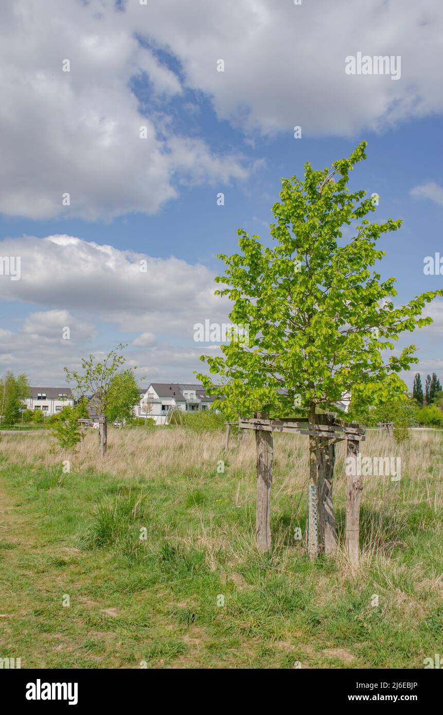 Prairie landschaft hi-res stock photography and images - Alamy