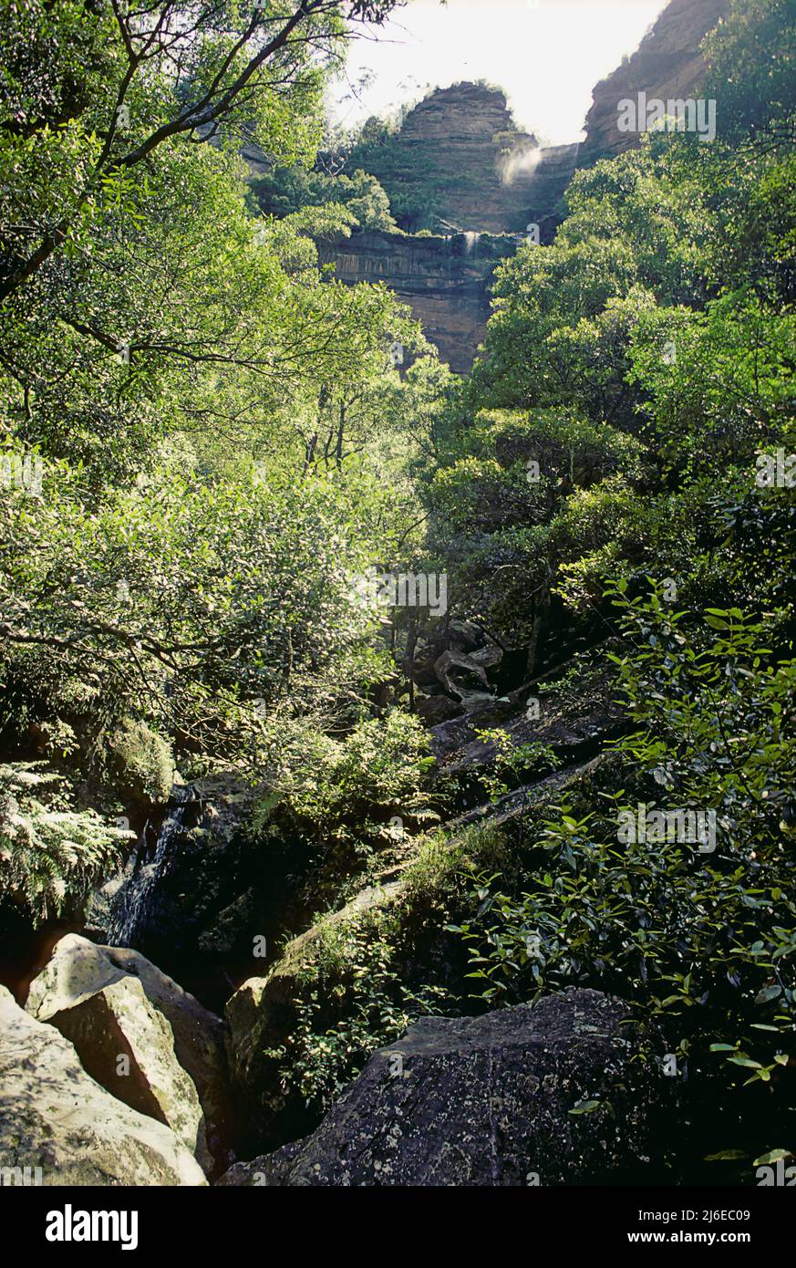 Tumbled rocks and forest at the foot of Katoomba Falls, Jamison Valley ...