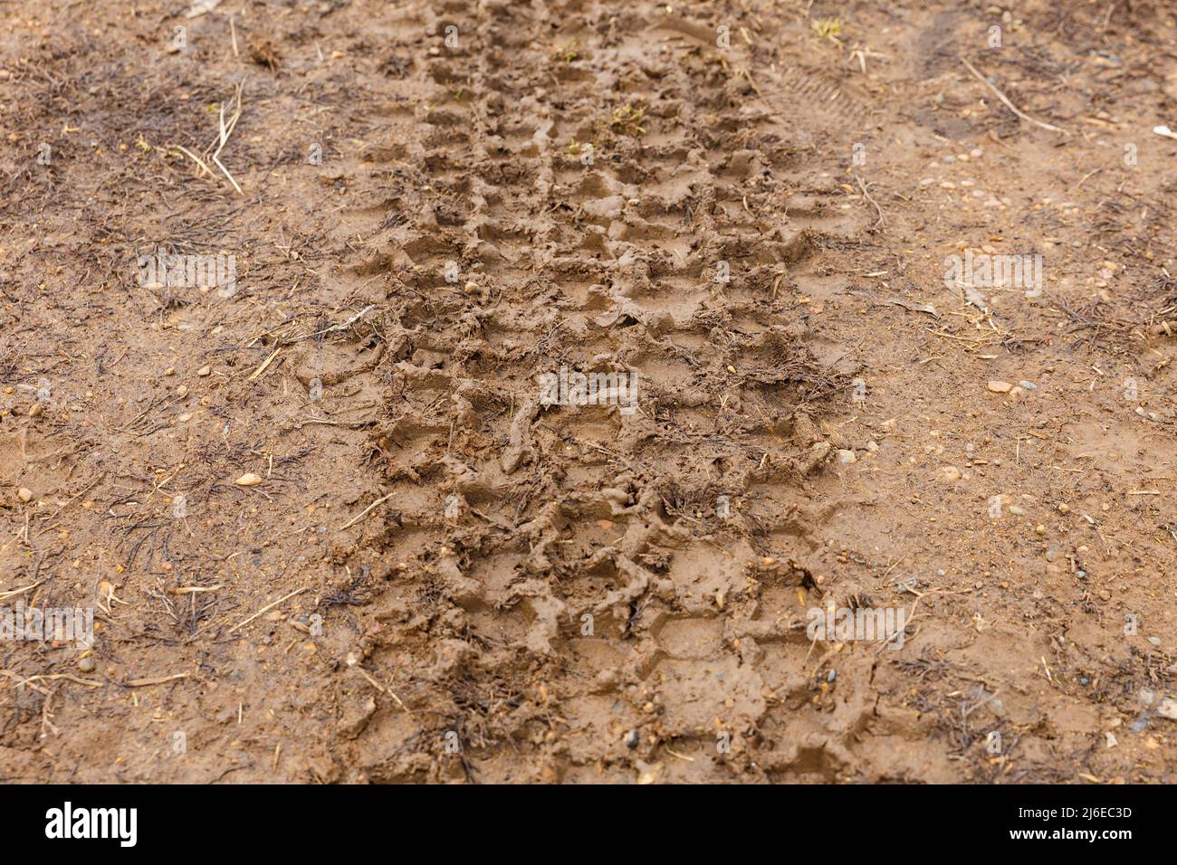 Car wheel track in the mud, off road track Stock Photo - Alamy